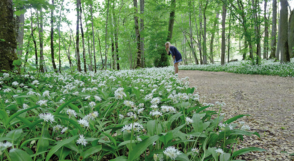 08. Munkäng­ar­na natu­re reserve | Platåbergens Geopark