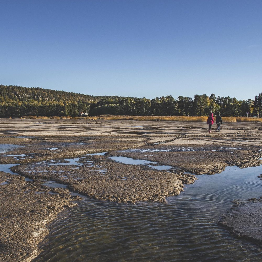 Halleberg SE | Platåbergens Geopark