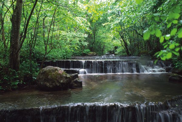 Billingen | Platåbergens Geopark