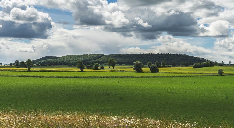 06. Ålle­berg | Platåbergens Geopark