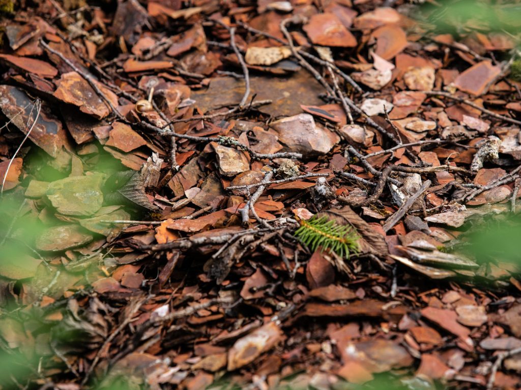 “Jag är nog den enda pri­vat­per­so­nen i värl­den som äger en kärn­tek ...